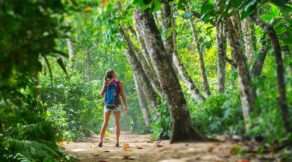 Wellness in Nature Travel: Finding healing with the forest - Travel Trends