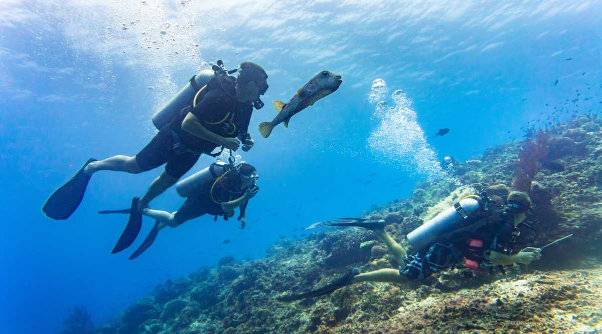 Scuba Diving Tourism Trends - Travel Trends